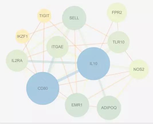 STRING网站+Cytoscape软件制作精美蛋白互作网络图(PPI)-搜狐大视野-搜狐新闻