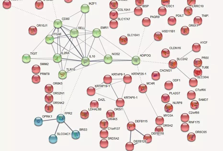STRING网站+Cytoscape软件制作精美蛋白互作网络图(PPI)_Nodes