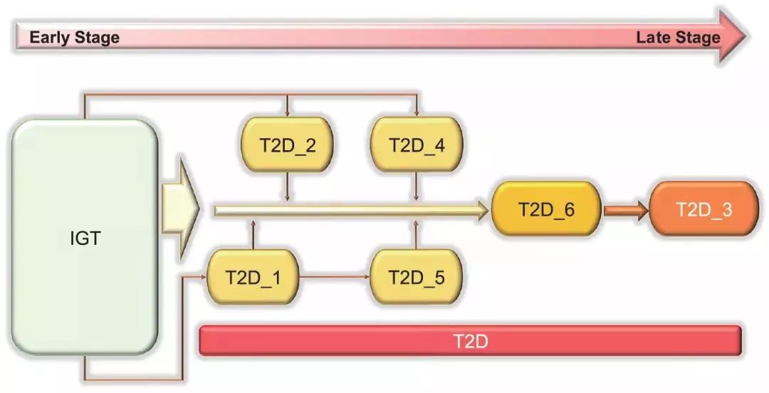 权威解读 | 中国全球首创糖尿病治疗新药 dorzagliatin 携两项研究亮相 ADA_临床