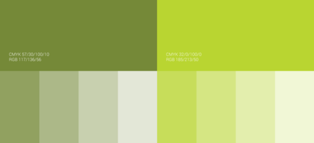 现在被疯抢断货的眼影居然是绿色？还是牛油果绿？？！_颜色