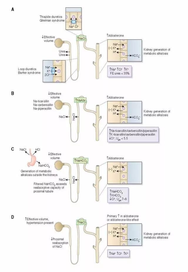 尿液离子检测的临床应用 ( 上）_FEUrea