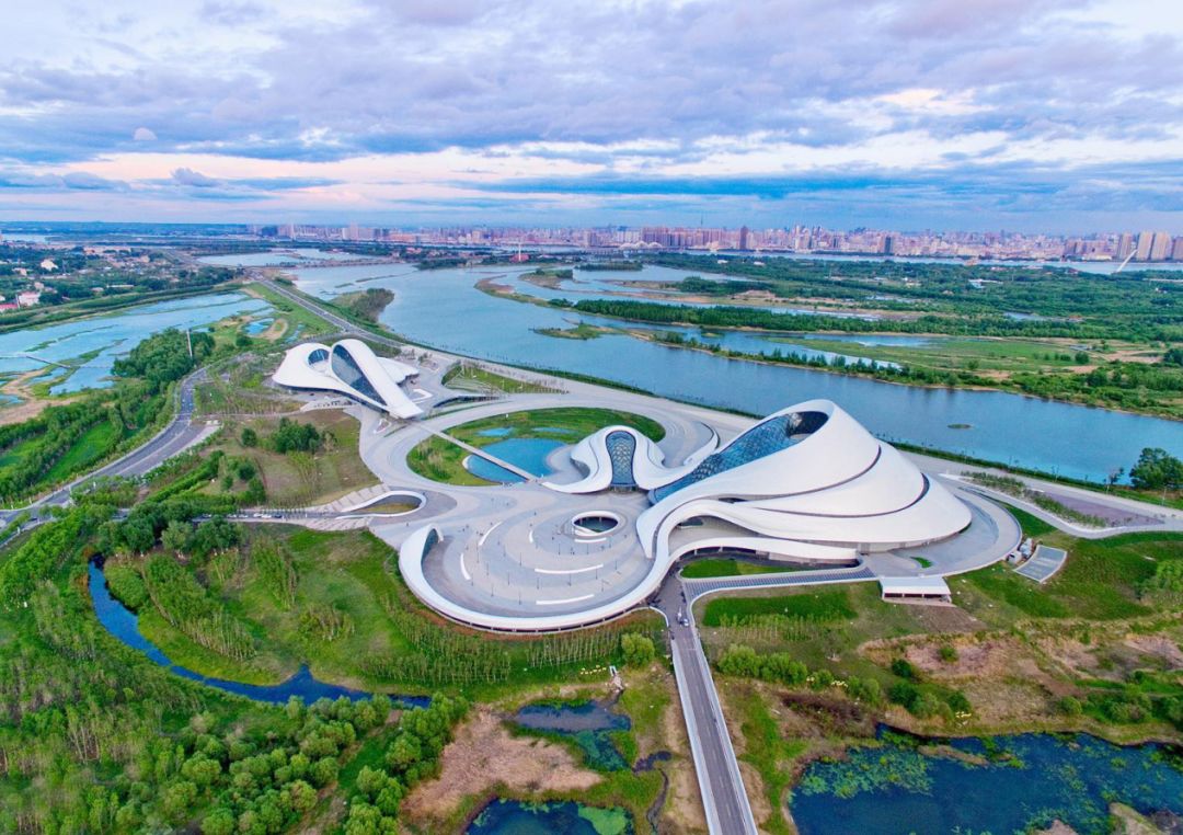 邂逅浪漫之都，沉醉迷人的哈尔滨之夏_湿地