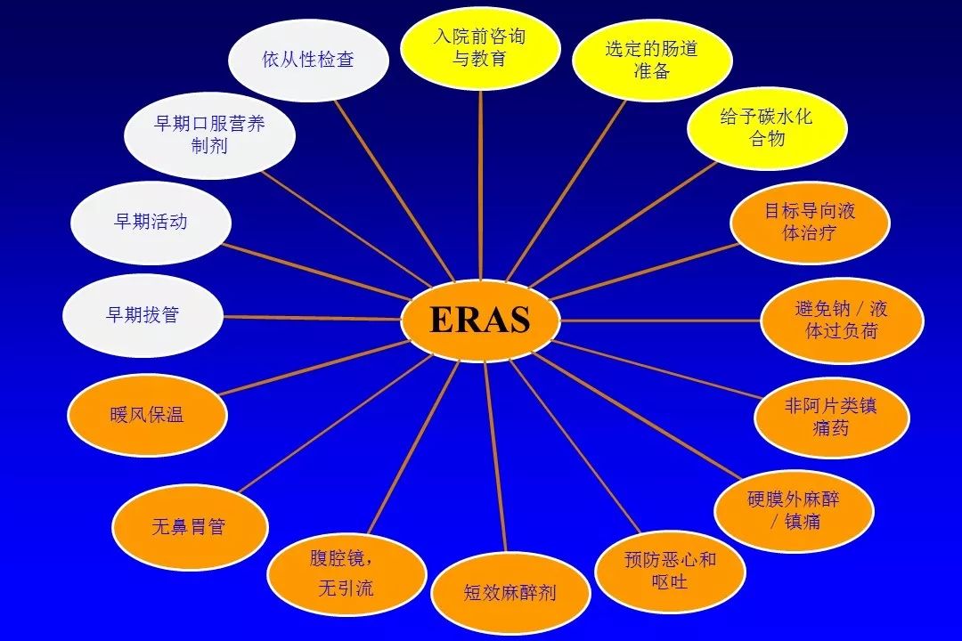 ERAS: Together & Stronger_麻醉