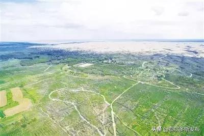 防治荒漠化，鄂尔多斯是这么做的！_治理