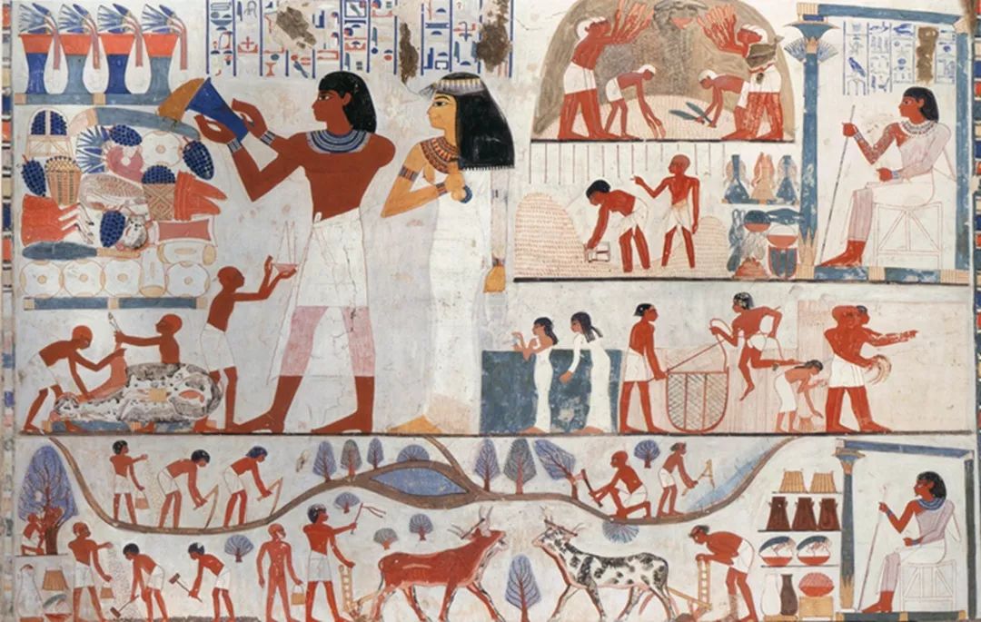 《埃及壁画》带你揭秘法老贵族生活 | 佳作推荐_艺术