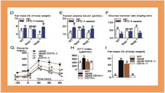 浅谈清醒小动物体成分析系统_EchoMRI
