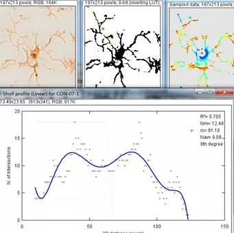 老司机带你解锁ImageJ三维图像分析_Stack