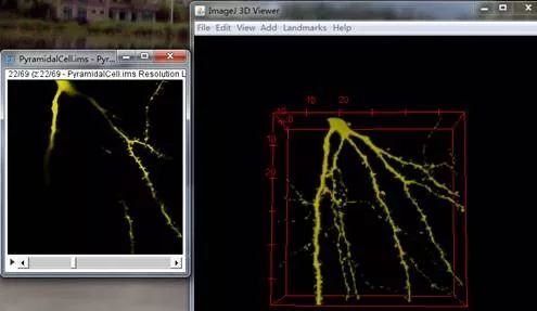 老司机带你解锁ImageJ三维图像分析_Stack