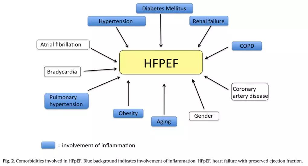 CIHFC2019丨季晓平教授：同一个疾病，不同的类型——HFpEF病生理的异质性_治疗