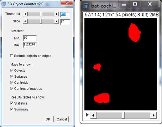 老司机带你解锁ImageJ三维图像分析_Stack