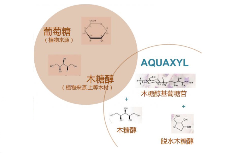 为什么大牌护肤品都添加了AQUAXYL_肌肤
