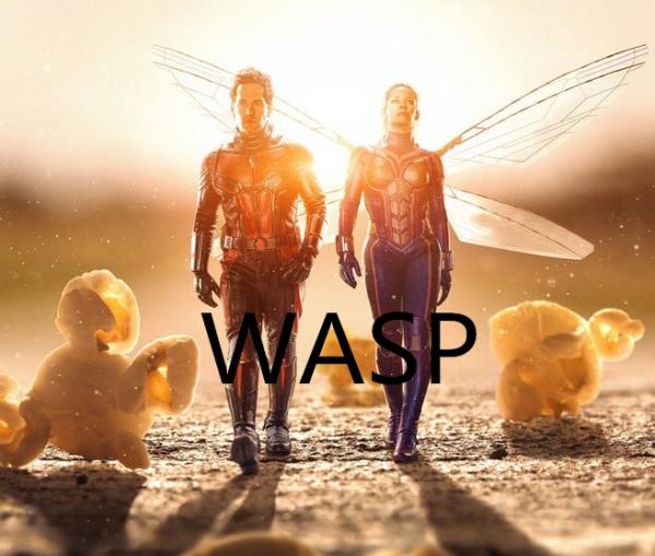 美国人天生最爱WASP，何为WASP，学者给出了不一样的解读_英国