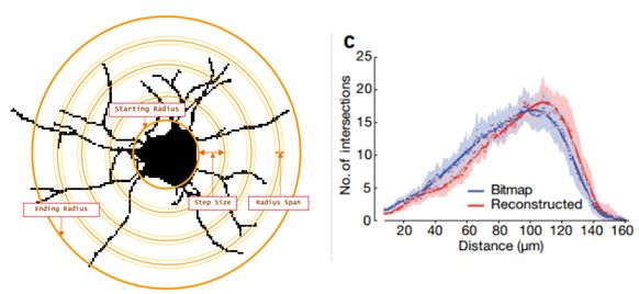 老司机带你解锁ImageJ三维图像分析_Stack