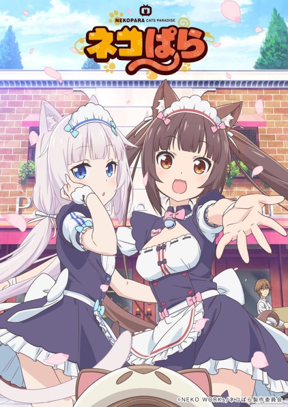 游戏《Nekopara》动画决定 主视觉图、制作团队和声优阵容公开_山本靖