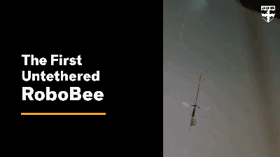 终于甩掉“小尾巴”！哈佛RoboBee再登《Nature》封面，太阳能供电自由飞行_X-Wing