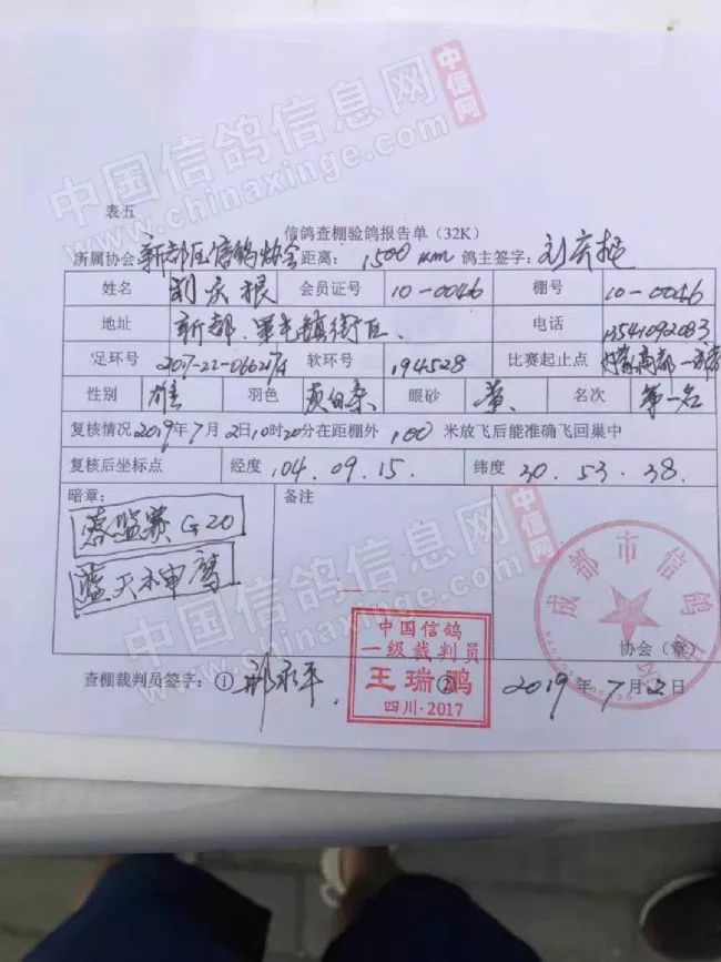 终于等到你！四川超远程36天后首羽归巢鸽雄姿_都江堰市