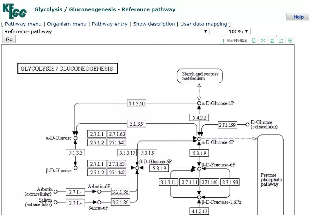 KEGG代谢通路怎么看_基因