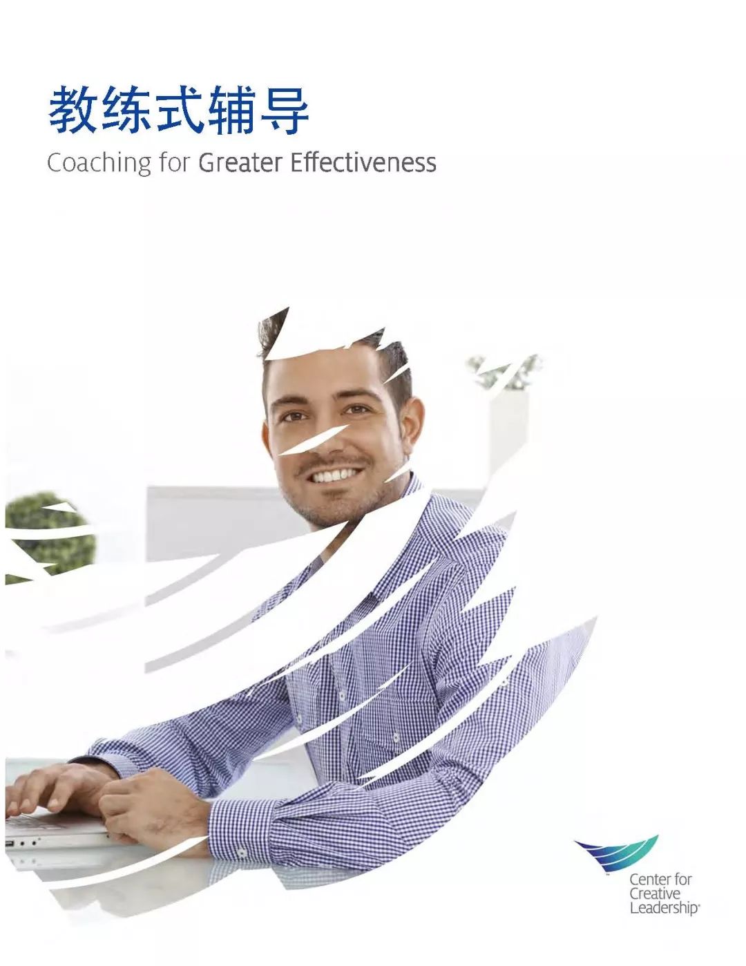 真实与勇气 —— coaching文化的本质（上篇）_组织