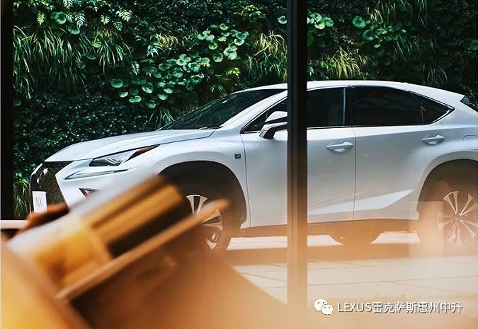 e-LEXUS CLUB | 雷克萨斯官方智能手机应用程序_搜狐汽车_搜狐网
