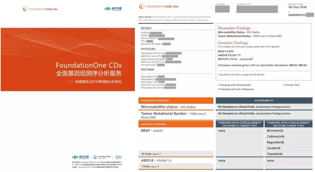 FMI喜讯 | FoundationOne CDx 获批用于利普卓的伴随诊断_检测