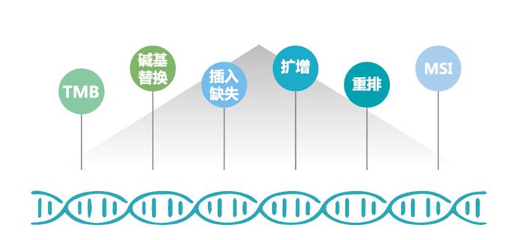 FMI喜讯 | FoundationOne CDx 获批用于利普卓的伴随诊断_检测