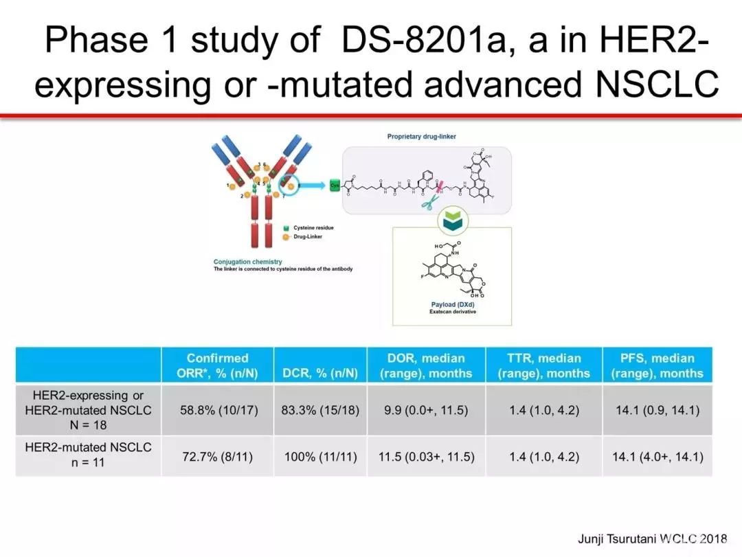 【ASCO热点回顾】EGFR Exon 20突变和HER2突变型NSCLC治疗的新选择_exon