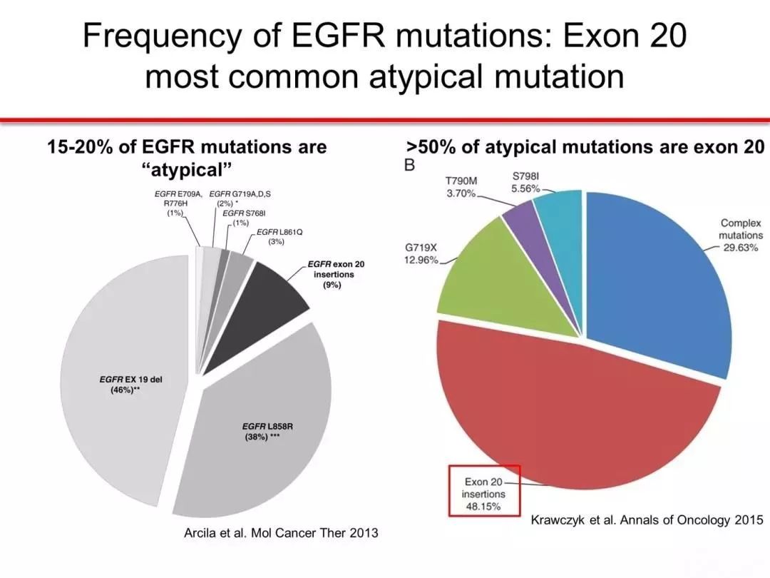 【ASCO热点回顾】EGFR Exon 20突变和HER2突变型NSCLC治疗的新选择_exon