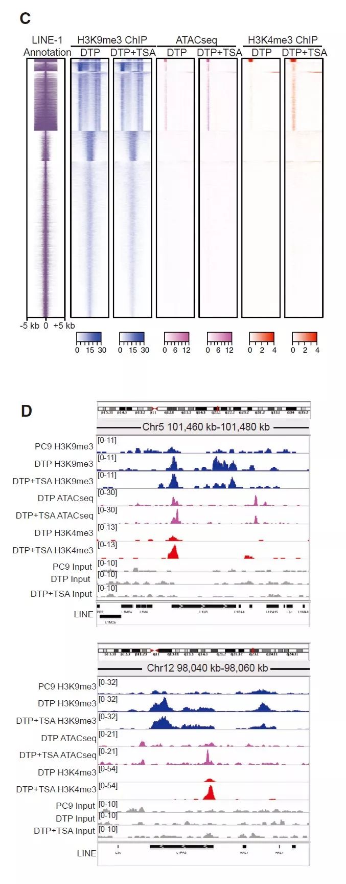 五分钟带你了解ATAC-seq测序_研究