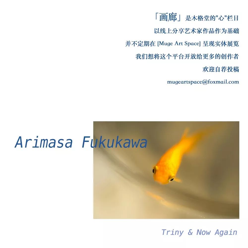 画廊｜Arimasa Fukukawa 关于生命你能想到什么-搜狐大视野-搜狐新闻
