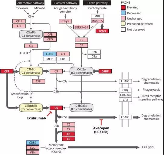 Neurology: 使用蛋白质组学揭示补体级联在原发性中枢神经系统血管炎的作用_患者