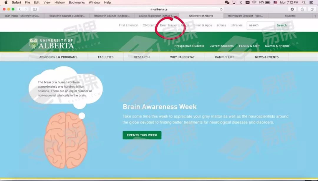 留学初体验之选课——阿尔伯塔大学选课攻略来喽！_课程