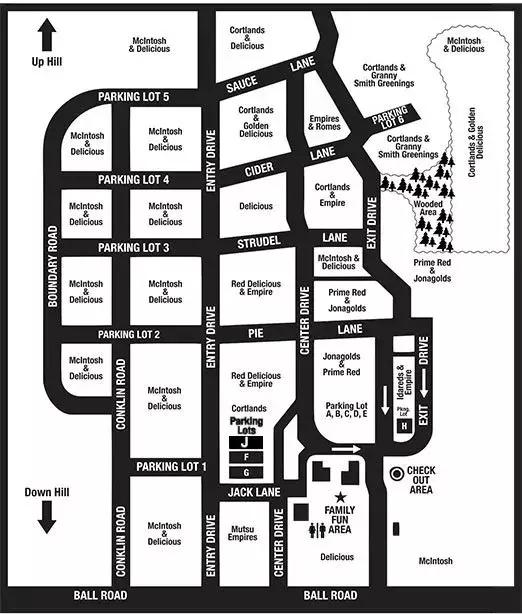 「揭秘」为什么这个苹果采摘园Masker Orchards能经营百年？_苹果园