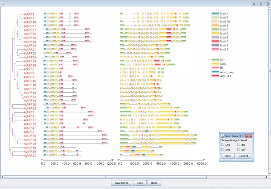 tbtools热图绘制掰弯热图使用说明 - 科研要酷 可用TBtools - 赛派号