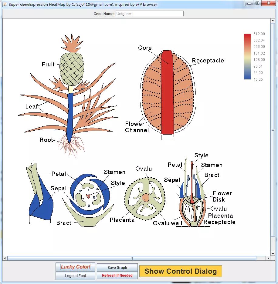tbtools热图绘制掰弯热图使用说明 - 科研要酷 可用TBtools - 赛派号