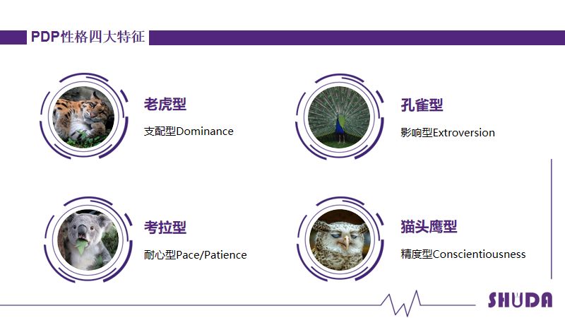 PDP-三分钟教你如何快速鉴定人才和职业（内附数达免费PDP测评)_工作