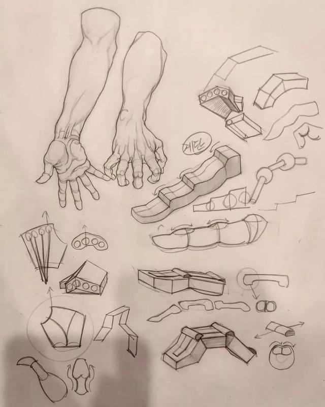 harin_kim头像铅笔插画-搜狐大视野-搜狐新闻
