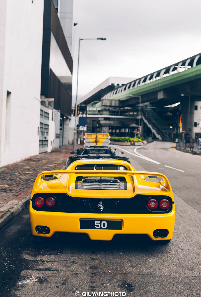 Giallo Modena Ferrari F50-搜狐大视野-搜狐新闻