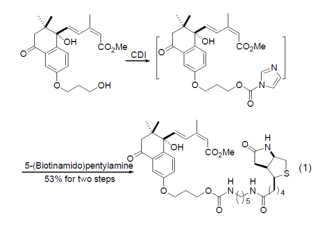 常用试剂----CDI_反应