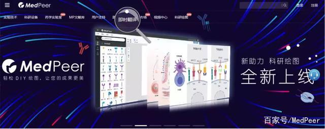 医疗文献翻译，也能快如闪电_Medpeer