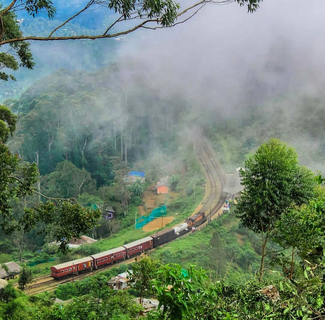 8月起斯里兰卡对中国游客免签证费细节：前往旅游还必须需要注意这些事情！_沙滩