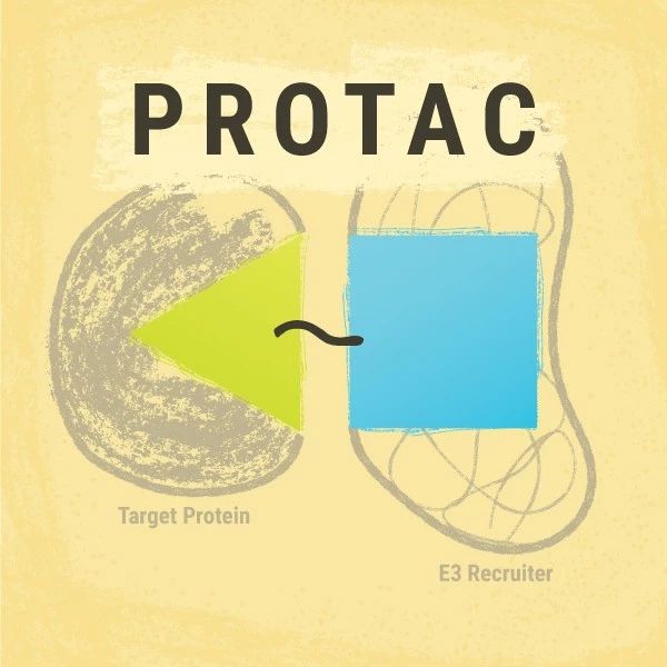 PROTAC：重新定义小分子药_蛋白
