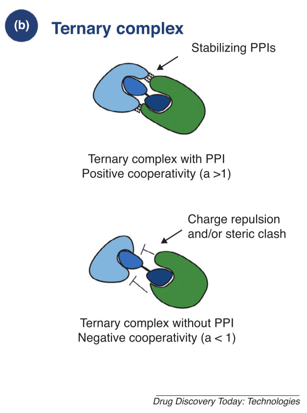 PROTAC：重新定义小分子药_蛋白