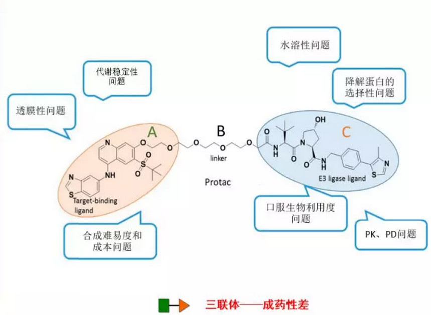 PROTAC：重新定义小分子药_蛋白