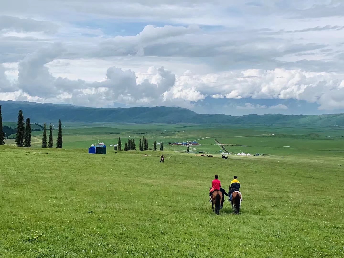 新疆伊犁那拉提空中草原，你喜欢的样子，它都有-搜狐大视野-搜狐新闻