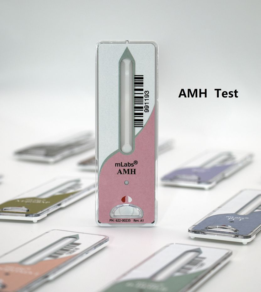 备孕大作战，AMH了解一下？_卵巢