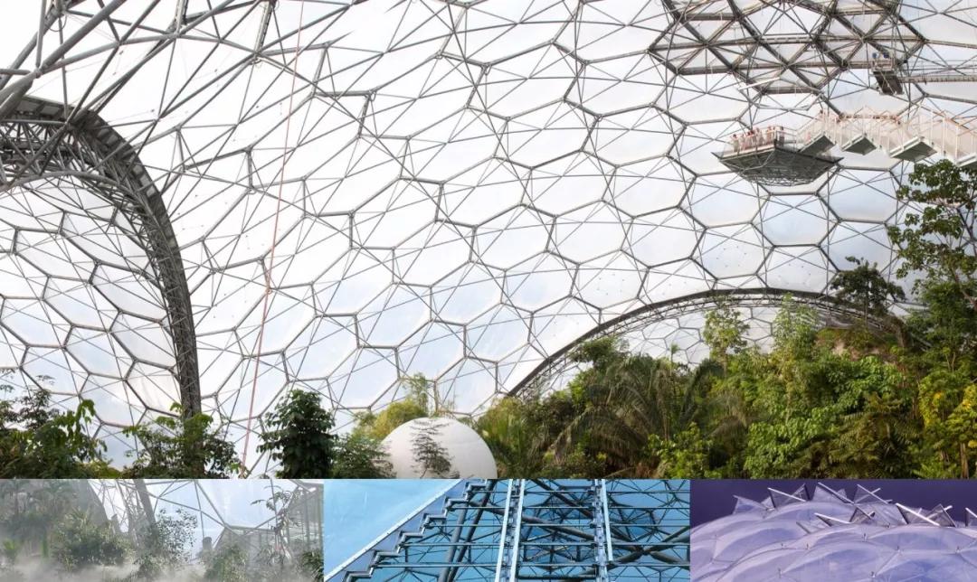 绿色建筑③—居然！！建筑也能仿生，模仿生物结构的设计节能又高效-搜狐大视野-搜狐新闻