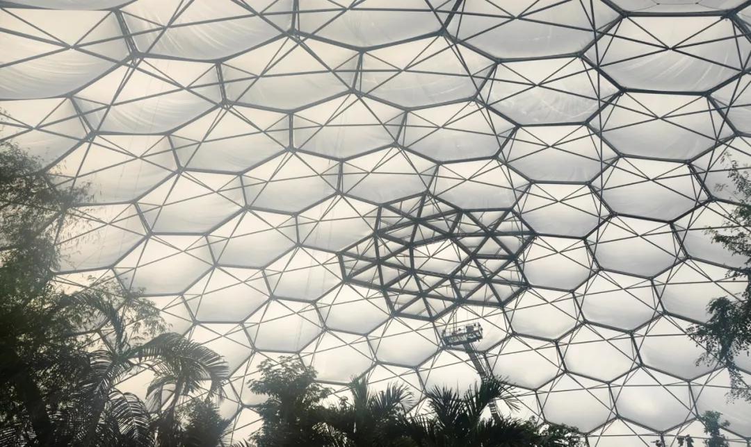 绿色建筑③—居然！！建筑也能仿生，模仿生物结构的设计节能又高效-搜狐大视野-搜狐新闻