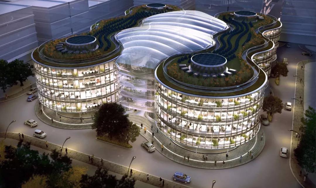 绿色建筑③—居然！！建筑也能仿生，模仿生物结构的设计节能又高效-搜狐大视野-搜狐新闻