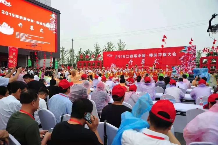 金城办8月9日工作动态_花椒