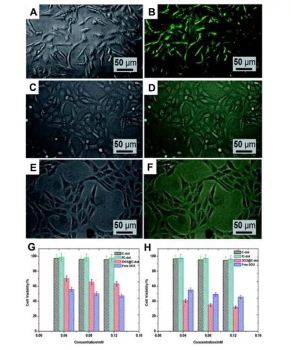 南洋理工Yong Ken-Tye，深圳大学徐改霞和NIH陈小元Chem.Rev.:用于生物学和医学的纳米碳：传感，成像和药物传递_检测